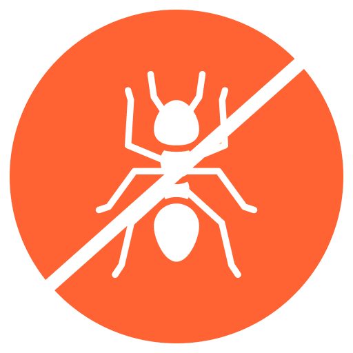 Professional Ants Control Services In Nairobi - Ecofumitech