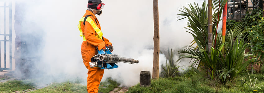 Best Snakes Control Services In Nairobi Kenya - Ecofumitech