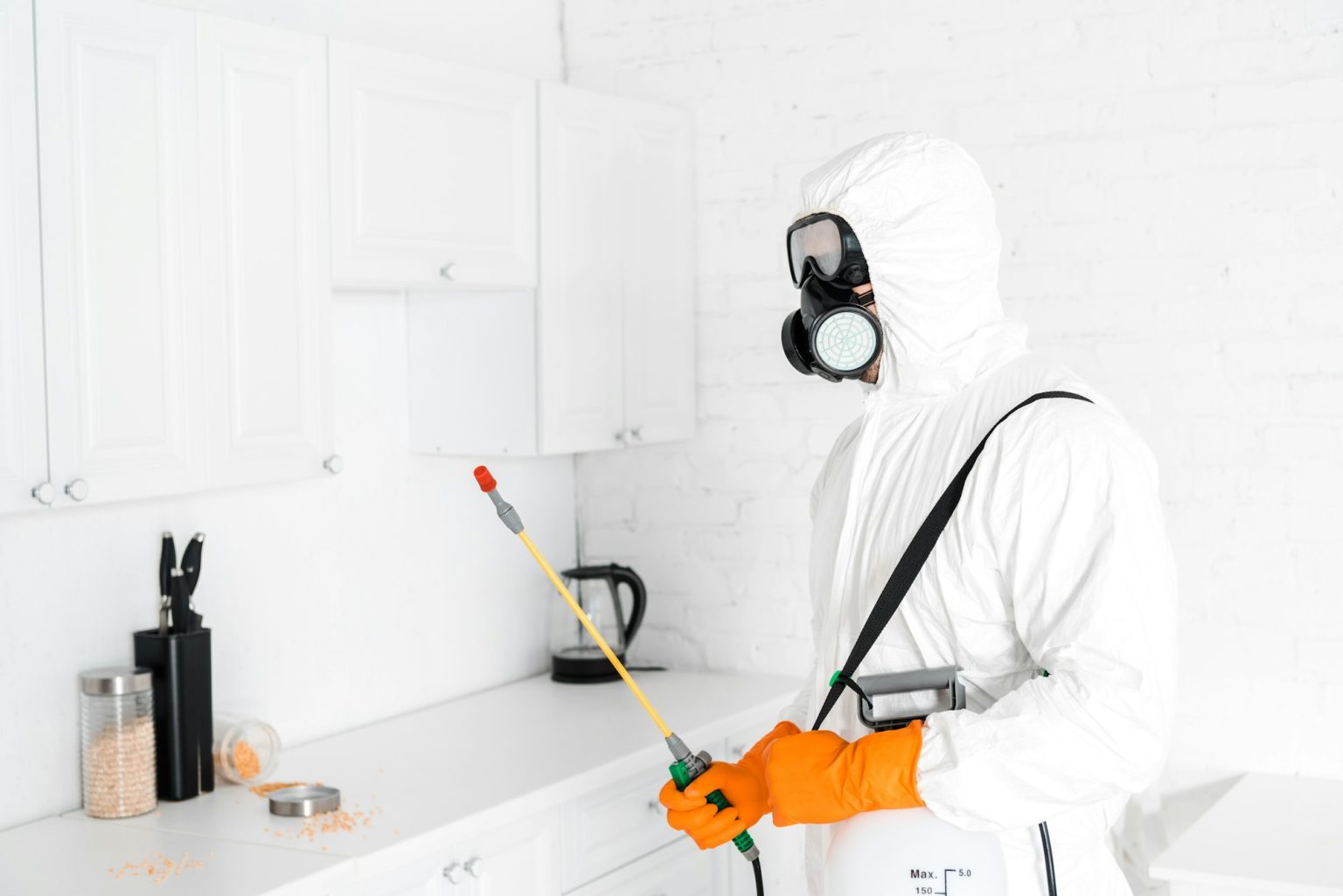 Dangers of DIY Fumigation and Pest Control - 2026