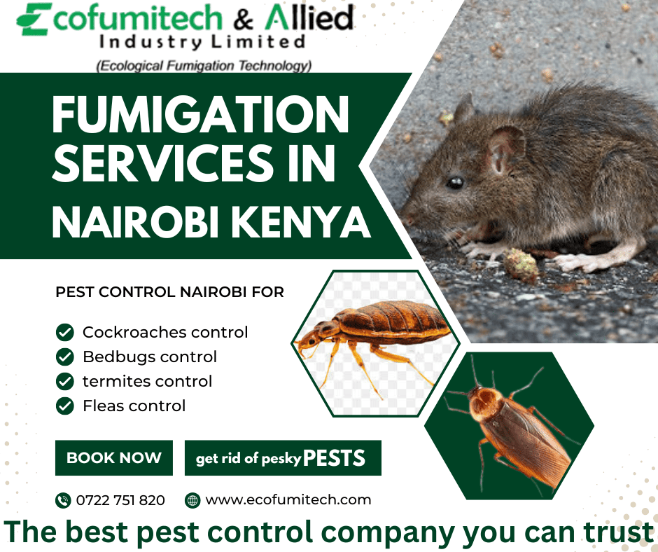 Top Fumigation and Pest Control Company in Nairobi Kenya